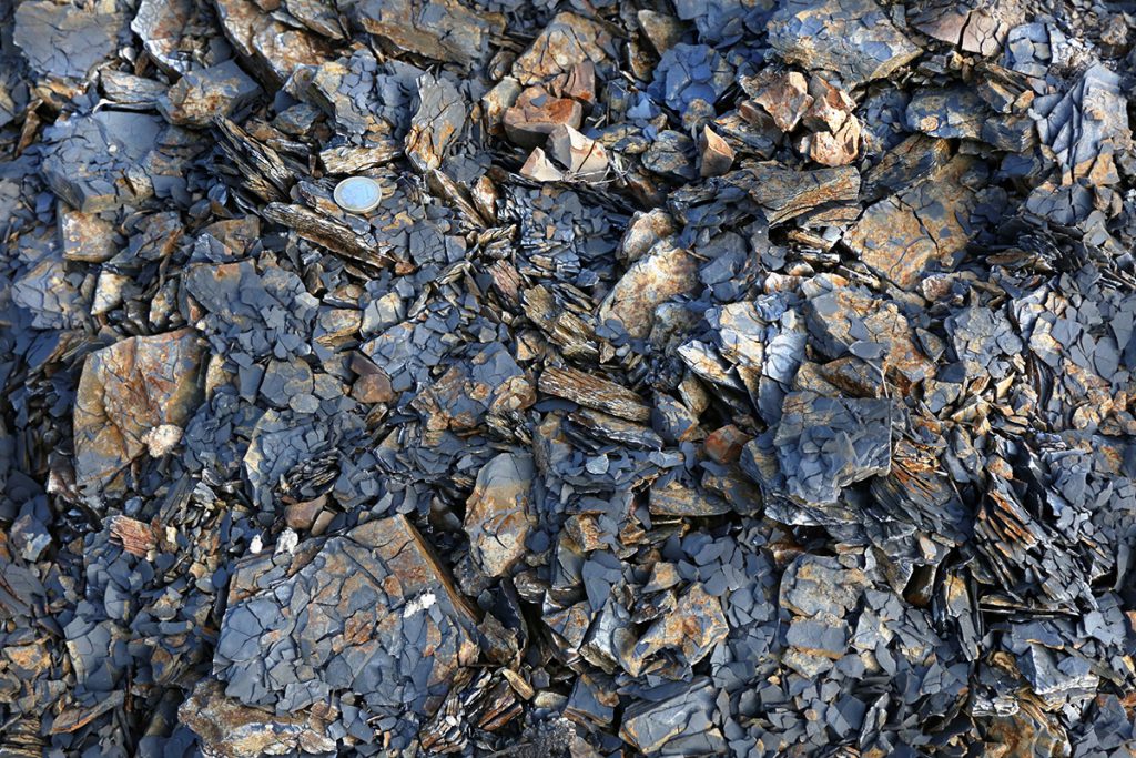 Auf Tonstein gebaut - 300 Millionen Jahre Petershagen · Petershäger ...